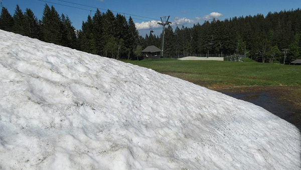 טיול קראוונים ליער השחור - החו"ל כלול